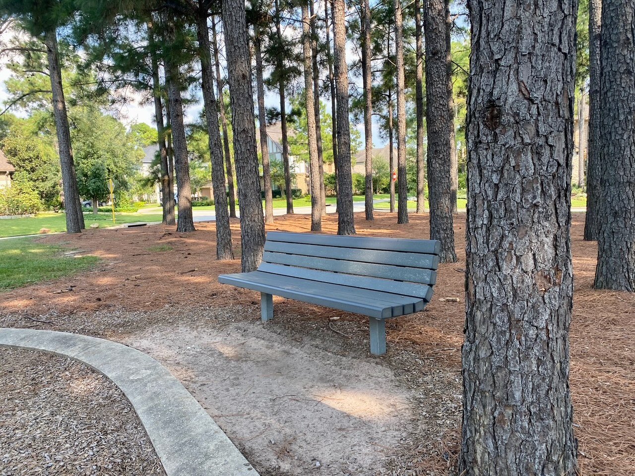 A Family Photo Tour: Spincaster Park in The Woodlands