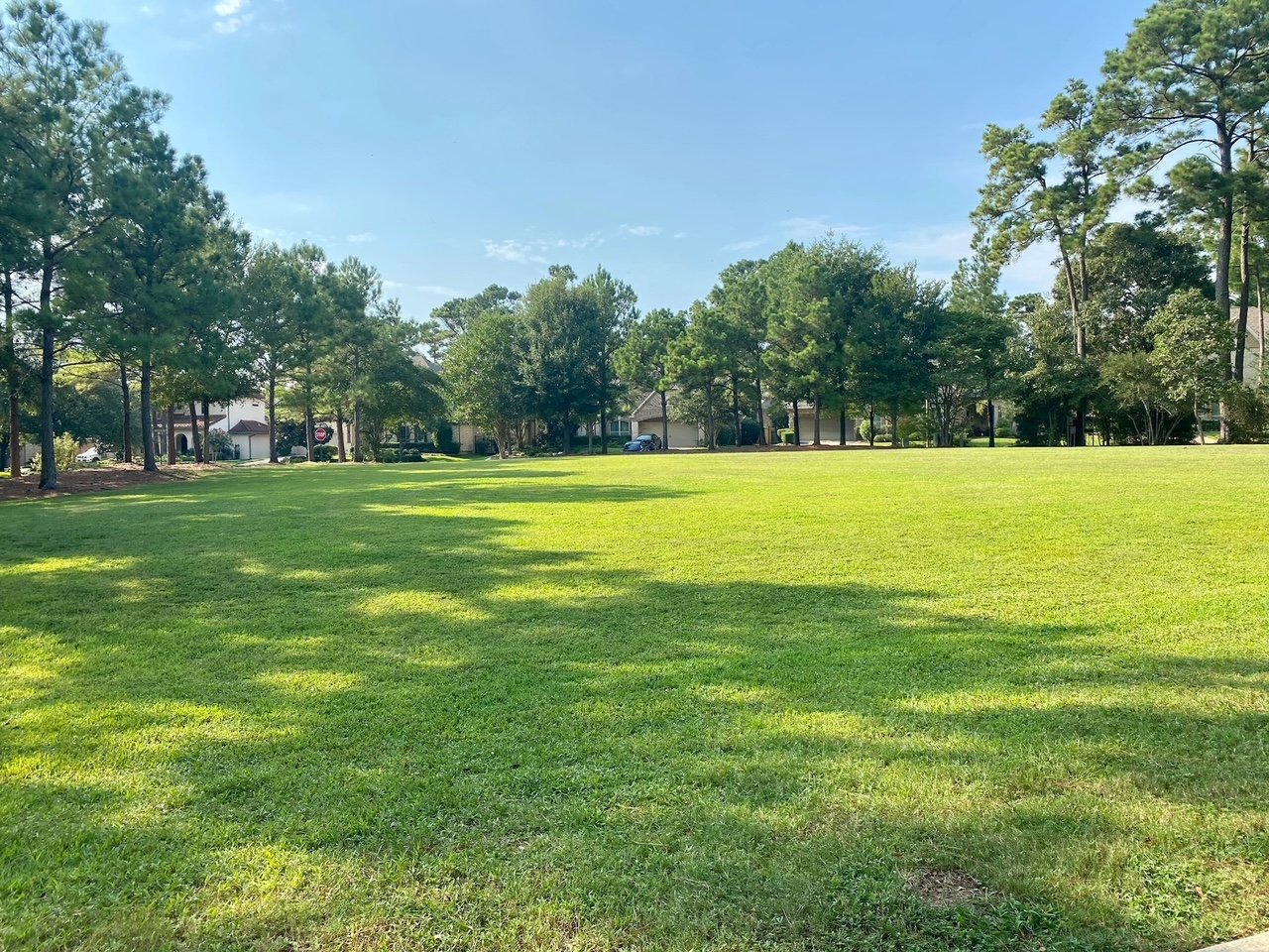 A Family Photo Tour: Spincaster Park in The Woodlands
