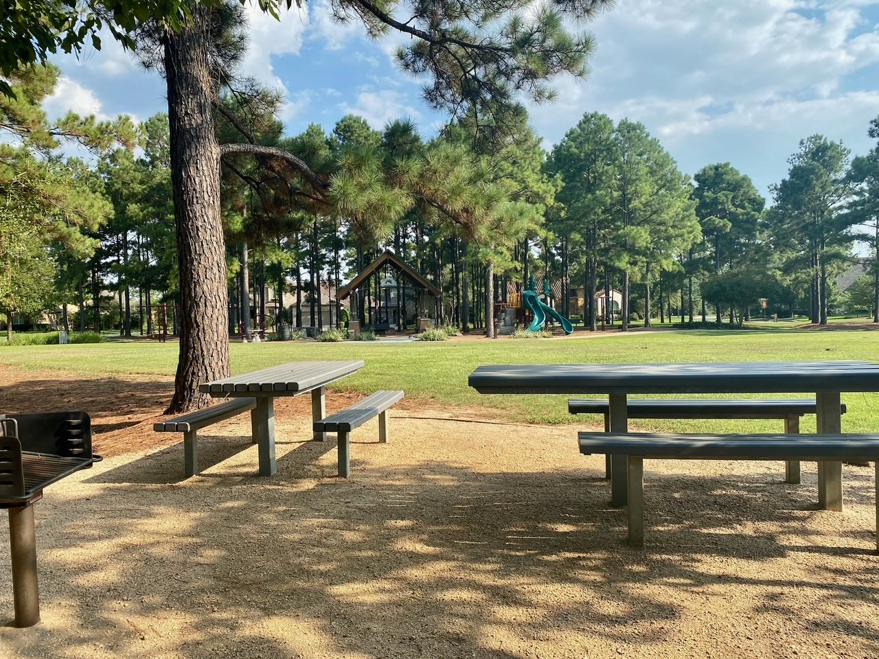 A Family Photo Tour: Spincaster Park in The Woodlands